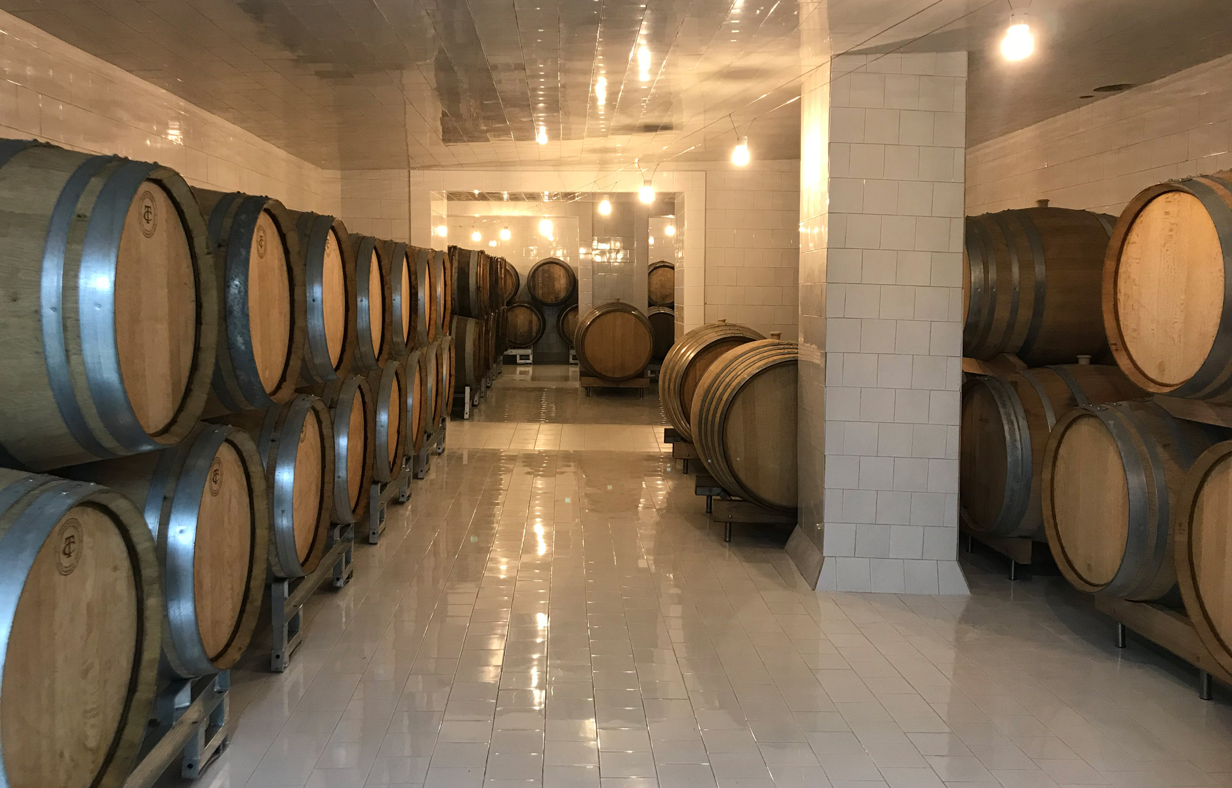 Champagne Chavost - Our Estate