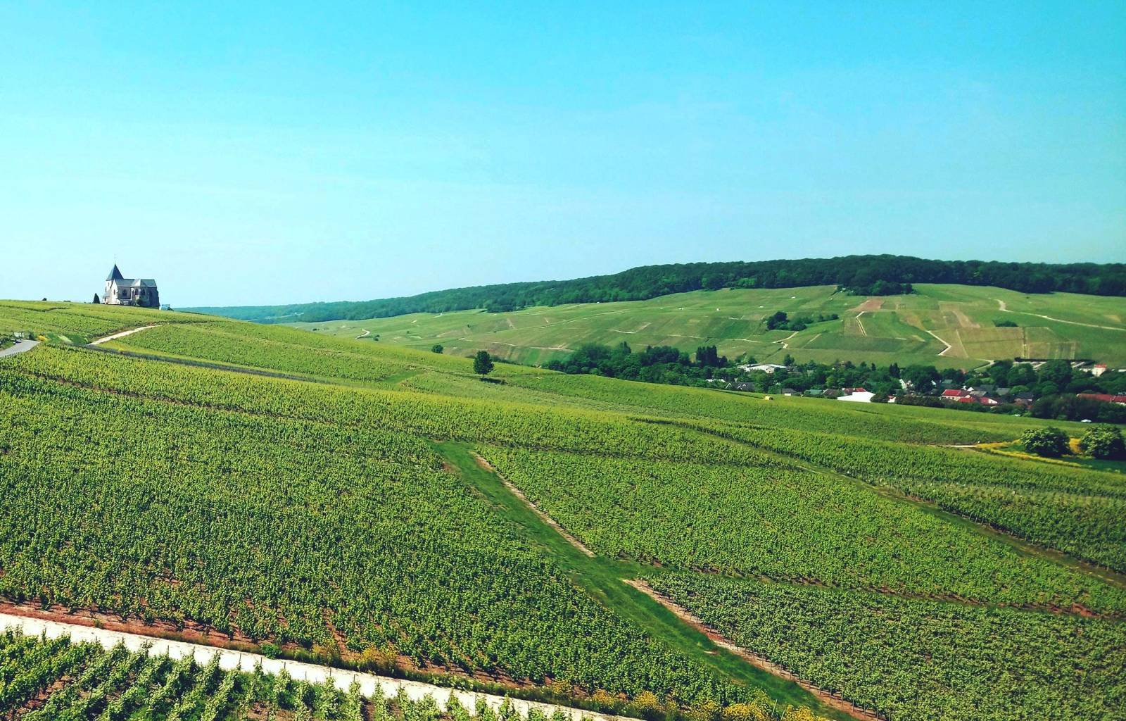 Champagne Chavost - Chavot-Courcourt - Marne