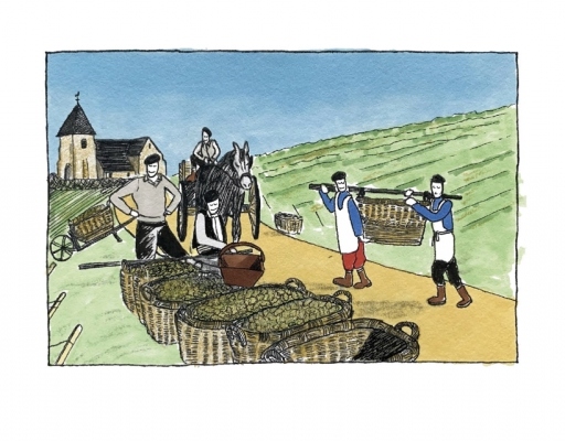 Champagne Chavost - Chavot-Courcourt - Marne