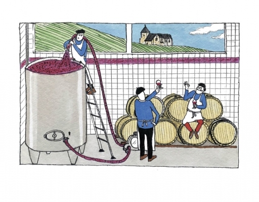 Champagne Chavost - Chavot-Courcourt - Marne